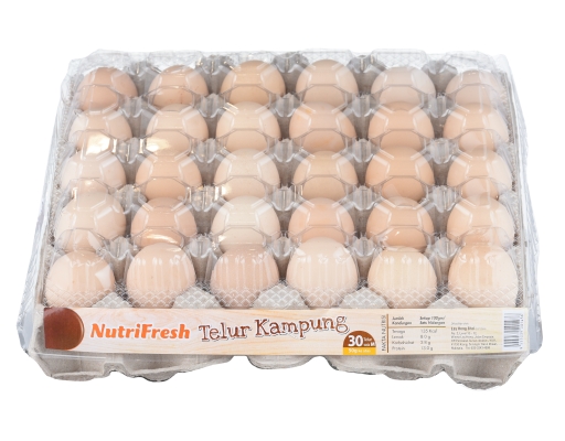 Nutriplus Telur Kampung Egg, 30 pcs - High Protein