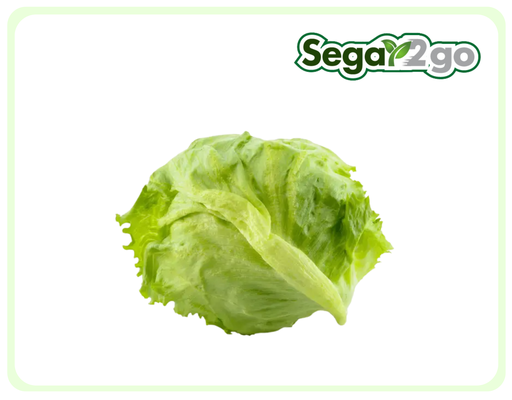 Segar2go Malaysia Iceberg Lettuce, 1 pack - Fresh & Crisp