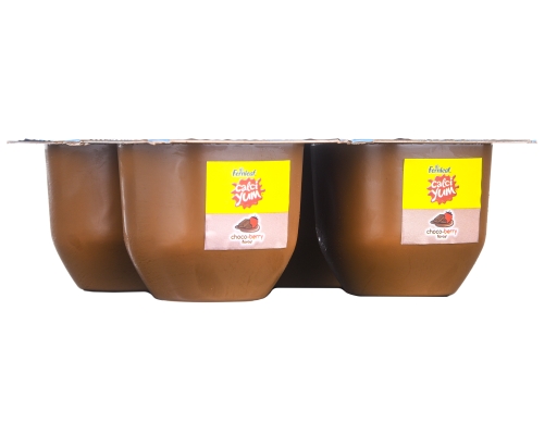 Fernleaf CalciYum Choco-Berry | myaeon2go
