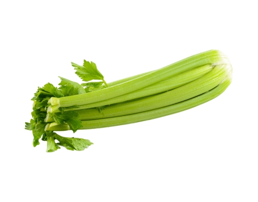 Fresh Australia Celery - Crisp and Flavorful Green Stalks